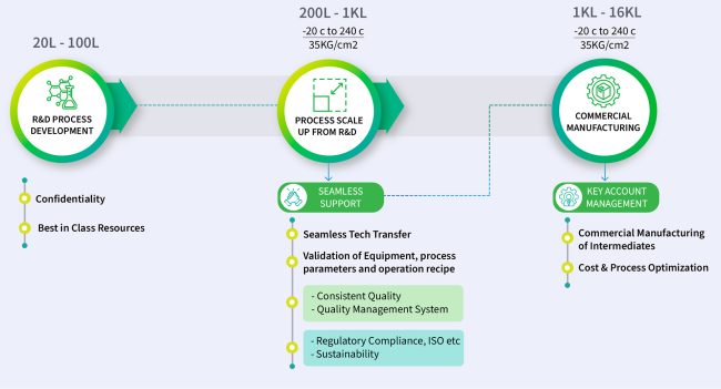 Custom Synthesis Services - MSPL